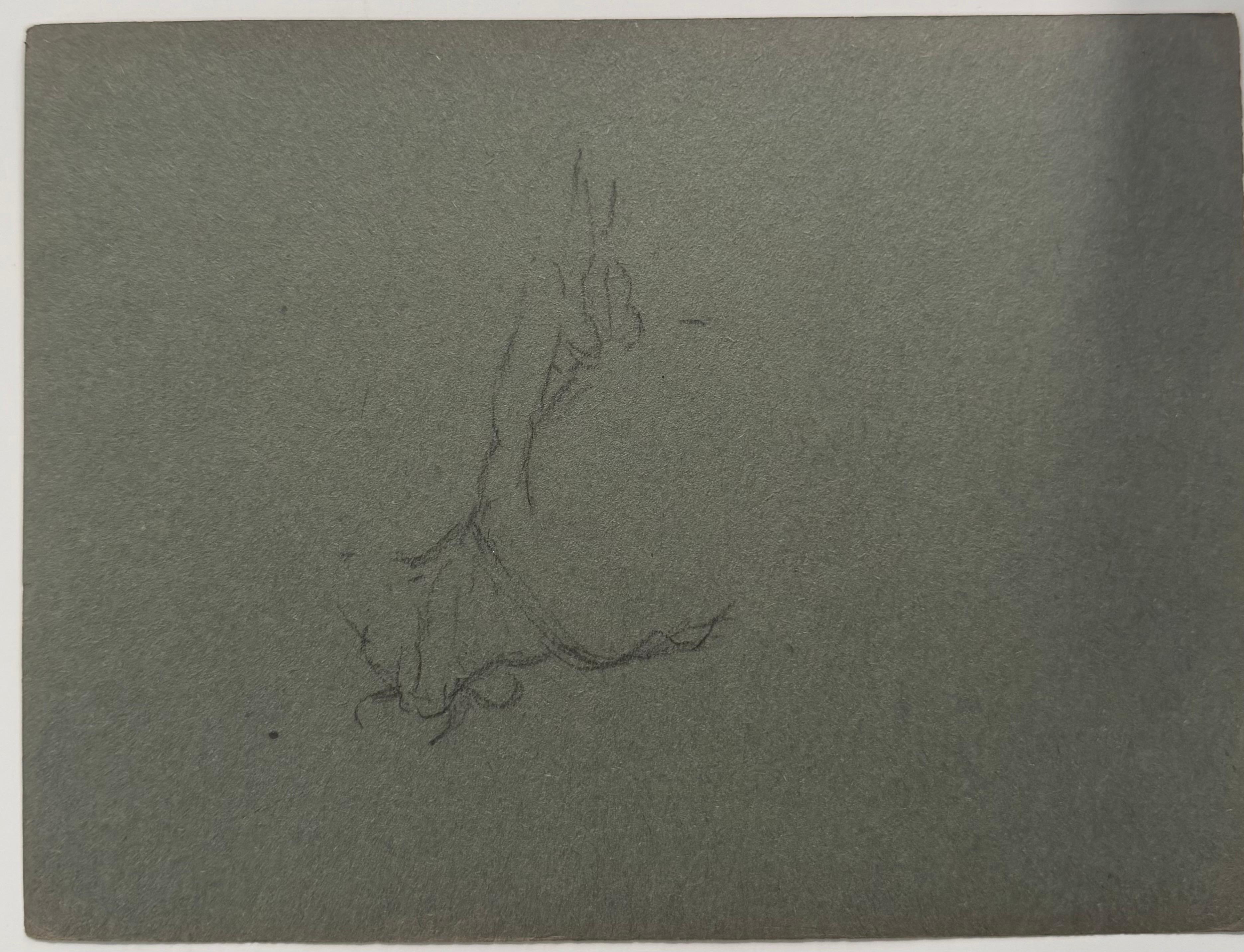 John Rabone Harvey - British Chalk Pencil Sketch of a Cow With Horns ...