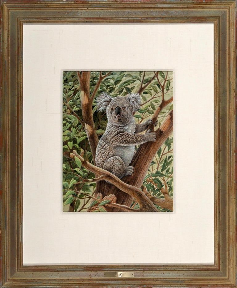 John Ruthven - Cute Koala Bear Australia, Photorealism For Sale at 1stDibs