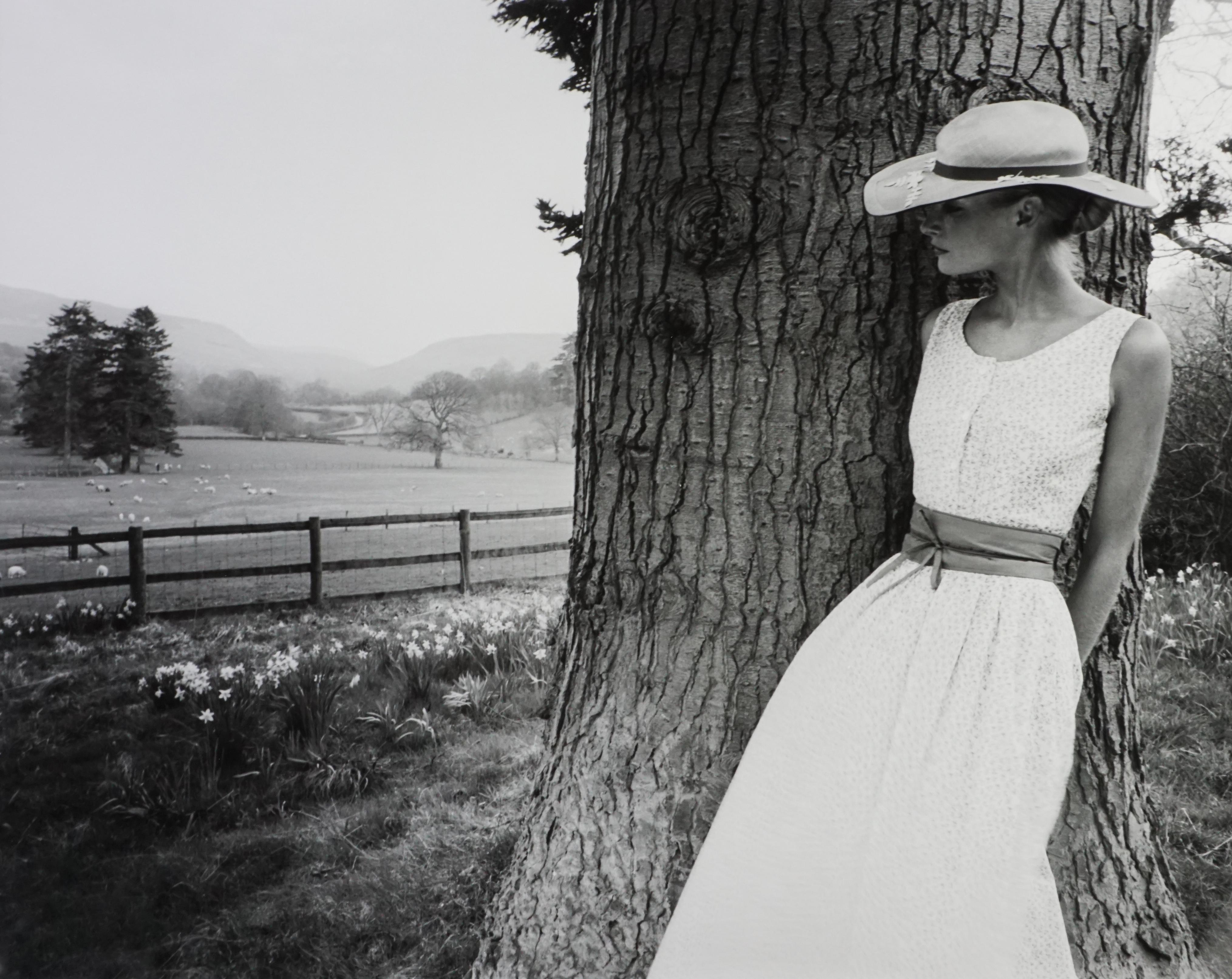 John Swannell Photographies - 3 en vente sur 1stDibs
