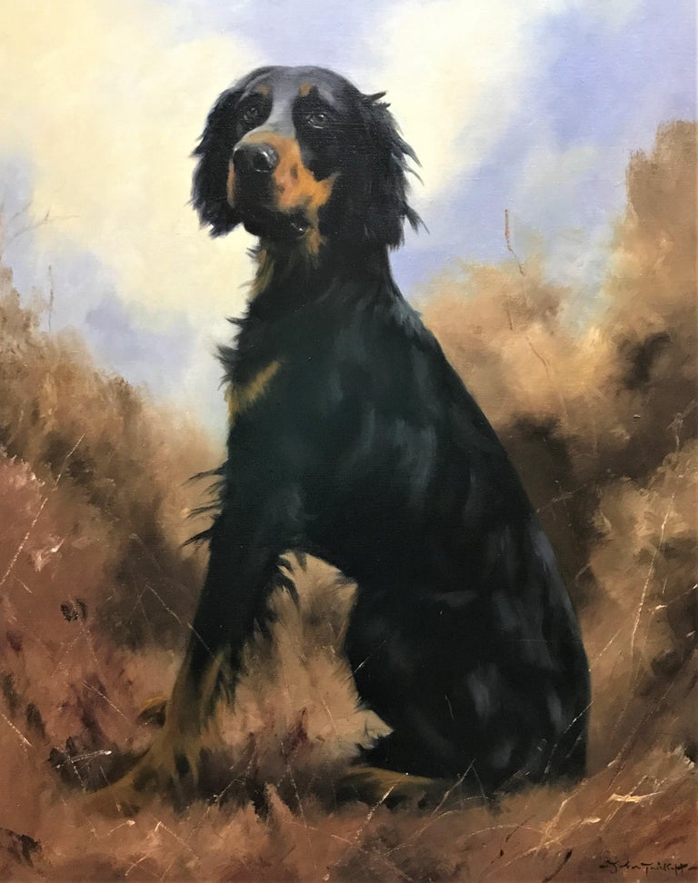 John Trickett - Study of a Gordon Setter, original oil on canvas, 20thC ...