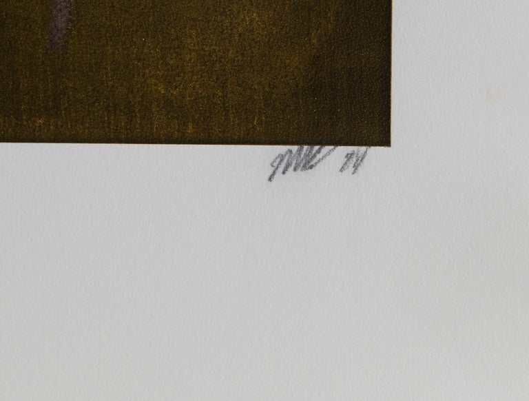 Johnathan Singer - Set of 3 Giant Amazon Waterlily Floral Photographs 3 ...