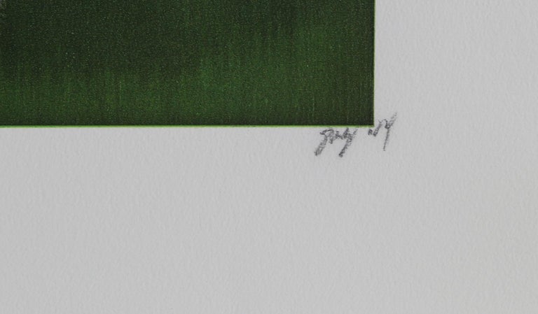 Johnathan Singer - Set of 3 Giant Amazon Waterlily Floral Photographs 3 ...