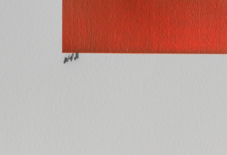 Johnathan Singer - Set of 3 Giant Amazon Waterlily Floral Photographs ...