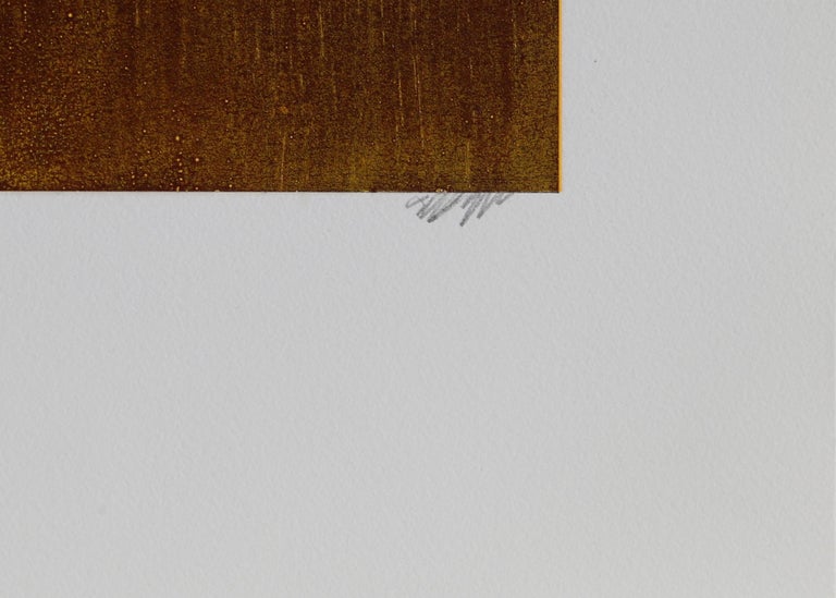 Johnathan Singer - Set of 3 Peony Floral Photographs by Jonathan Singer ...