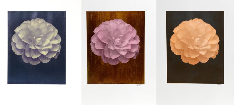Johnathan Singer - Set of 3 Peony Floral Photographs by Jonathan Singer ...