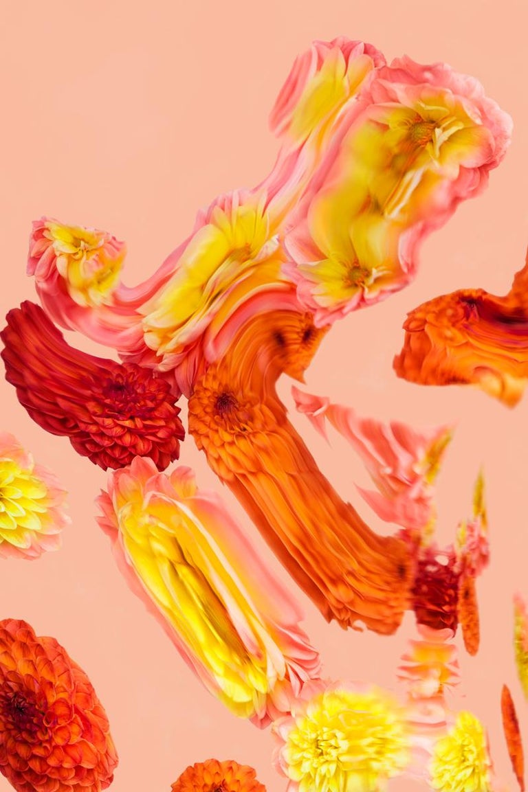 Jordan Tiberio - Fall Rising 1 For Sale at 1stDibs