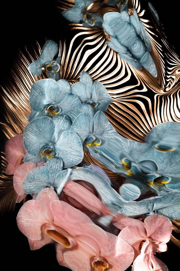 Jordan Tiberio - Liquid Mirrors in Tropics 1 For Sale at 1stDibs