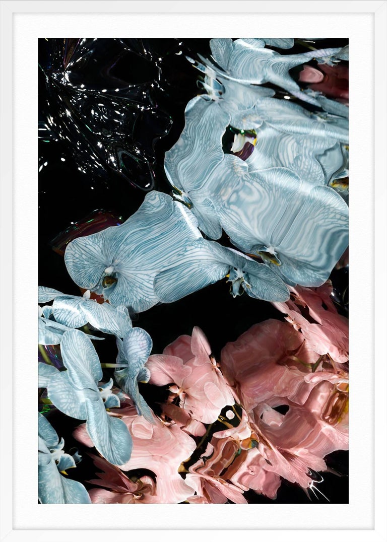 Jordan Tiberio - Liquid Mirrors in Tropics 4 For Sale at 1stDibs