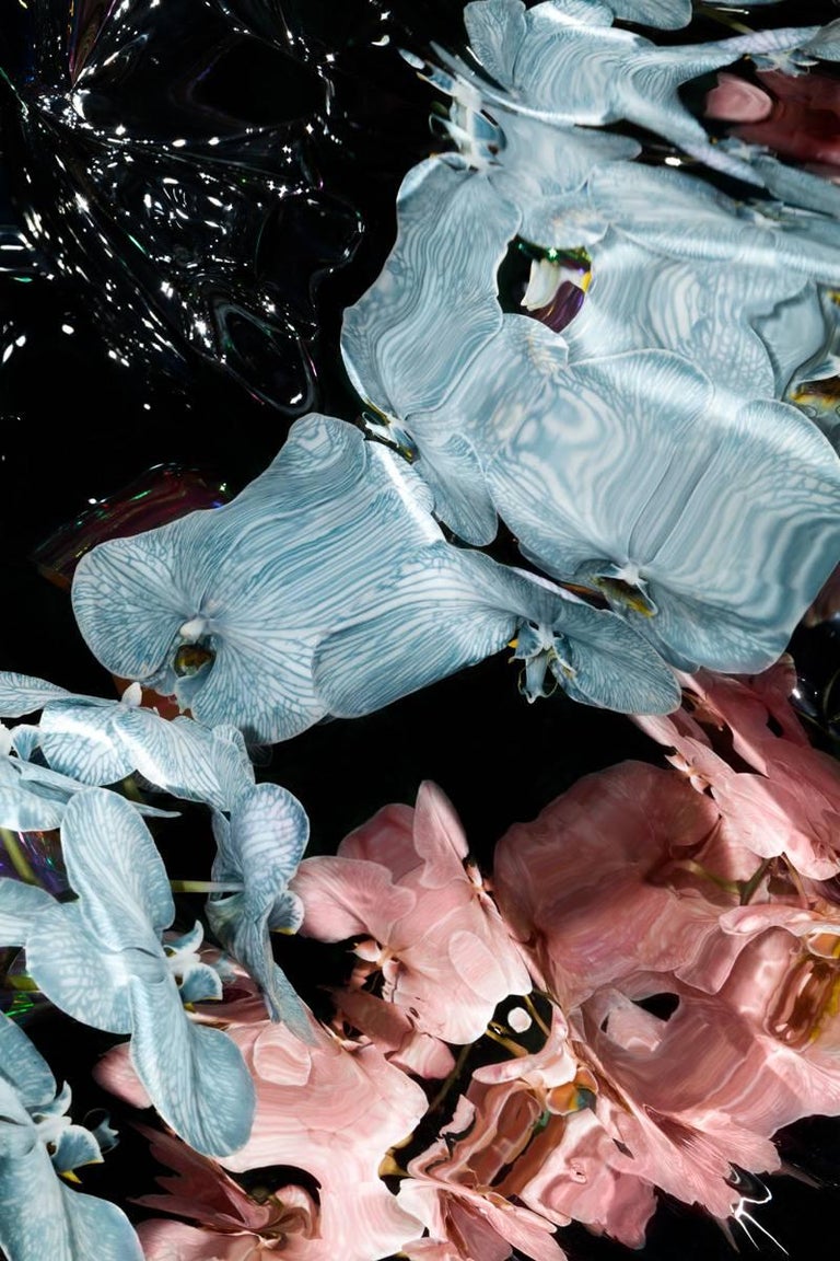 Jordan Tiberio - Liquid Mirrors in Tropics 4 For Sale at 1stDibs