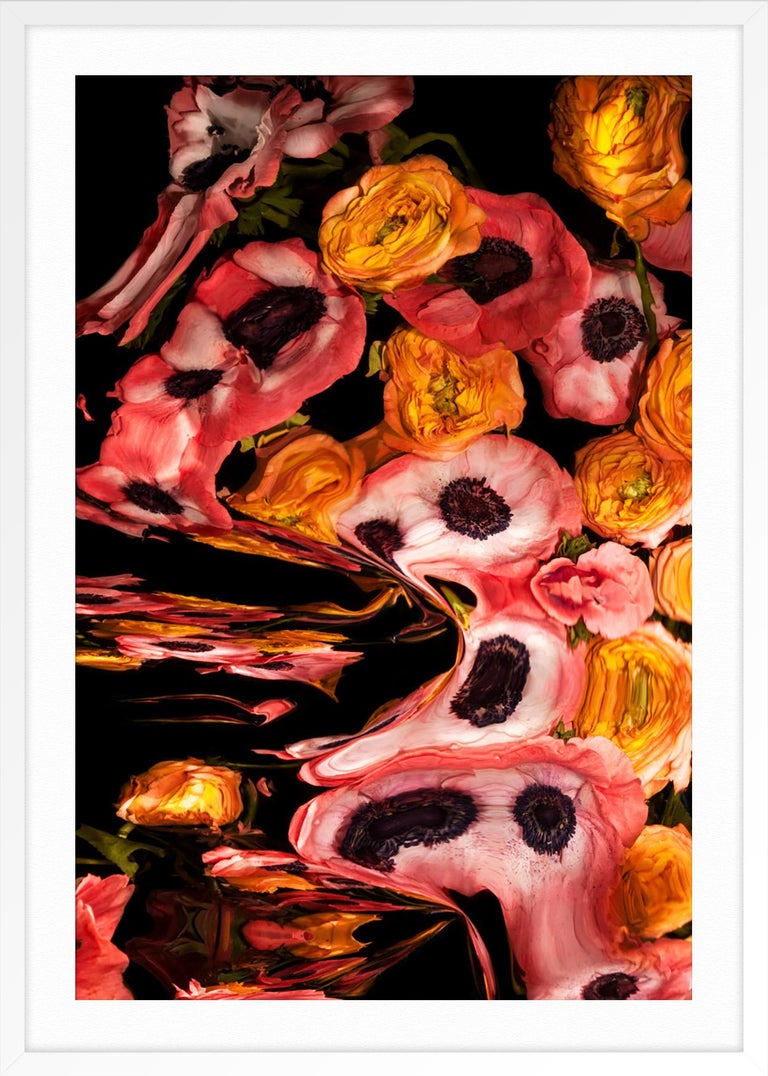 Jordan Tiberio - Sunbursts 1 For Sale at 1stDibs