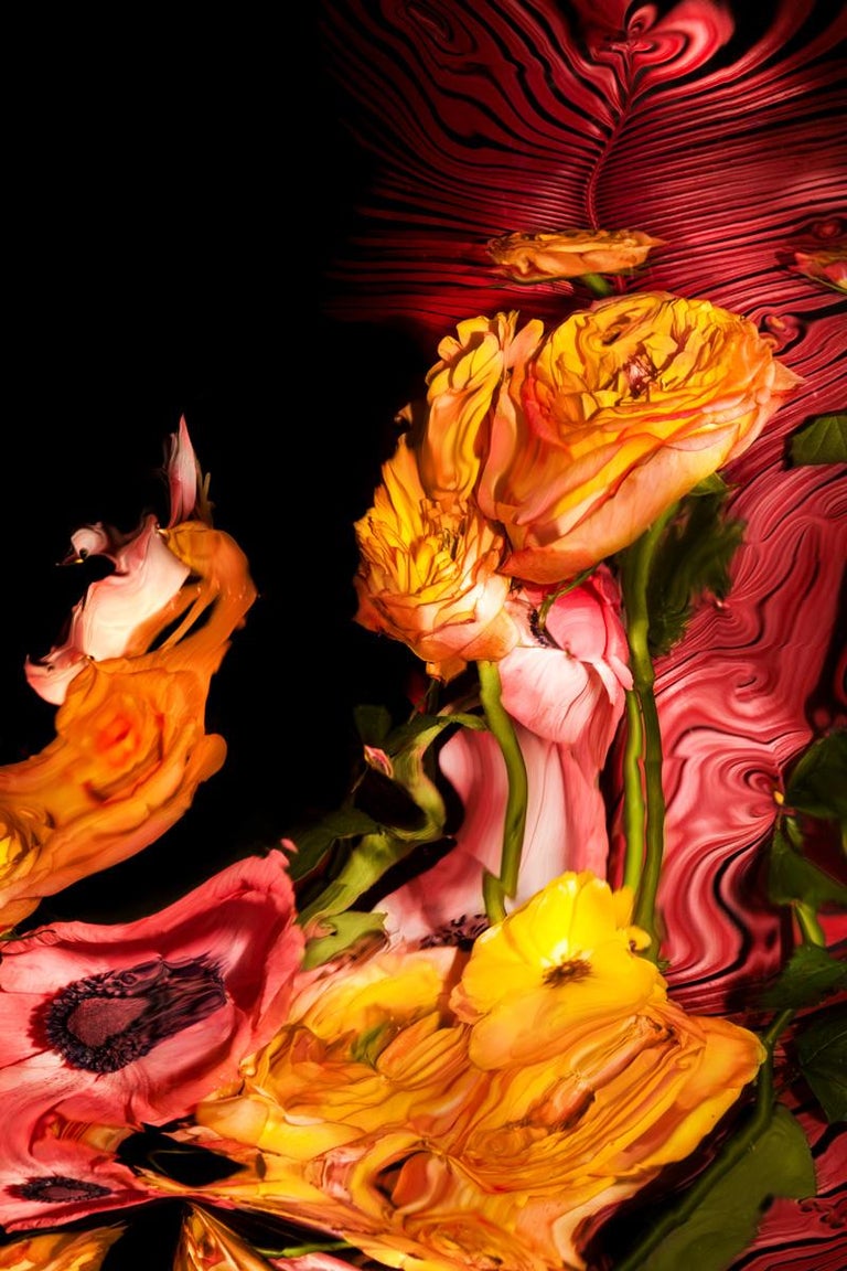 Jordan Tiberio - Sunbursts 3 For Sale at 1stDibs