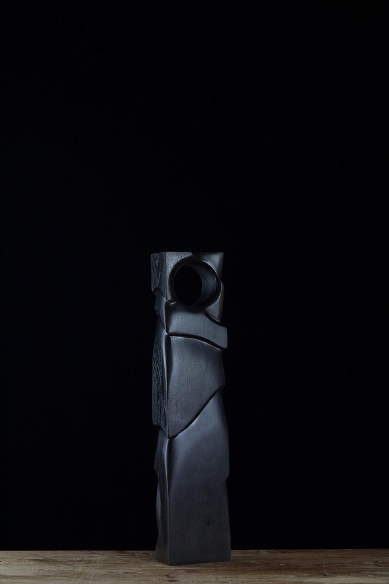 Jordana Coelho - Fake Disguise For Sale at 1stDibs