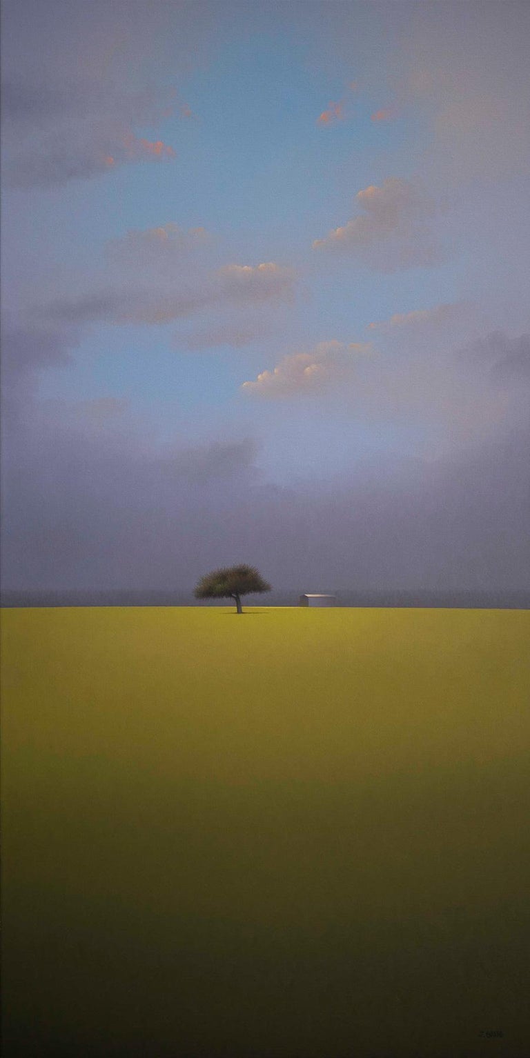 Jose Basso - Nubes del Atardecer For Sale at 1stDibs