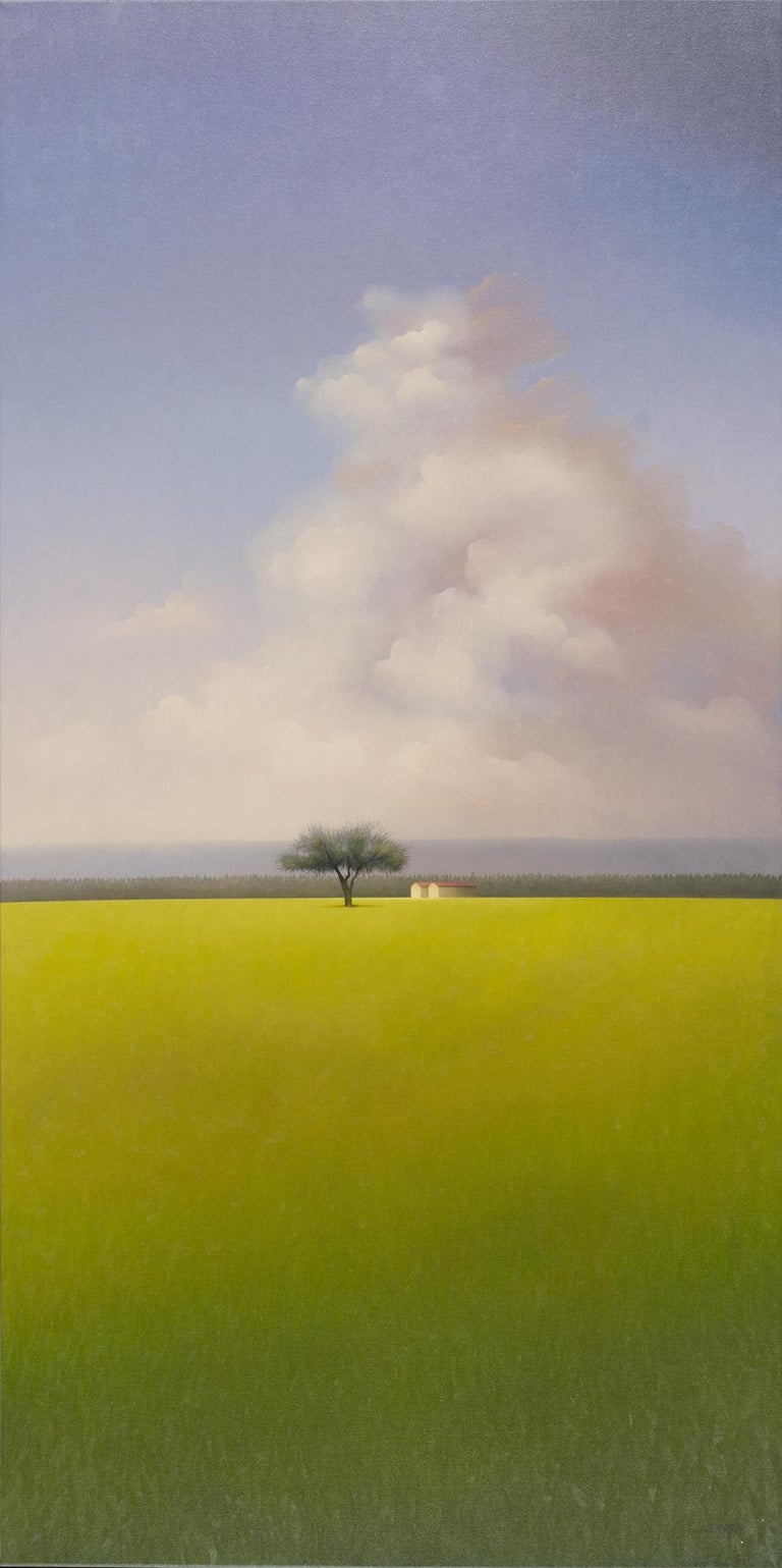 Jose Basso - Swirl of Clouds For Sale at 1stDibs