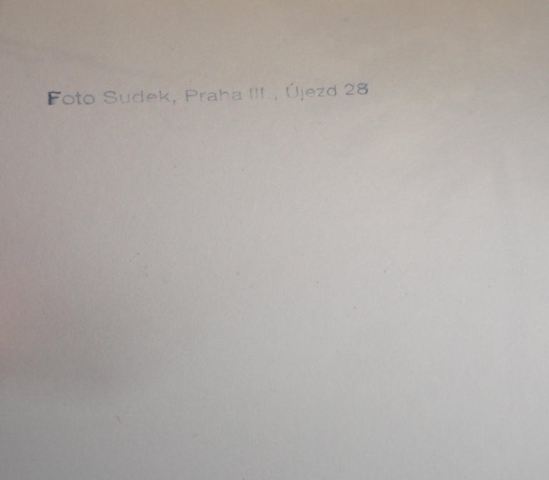 Josef Sudek - Forest Mionsi in the fog - Original Gelatin Silver ...