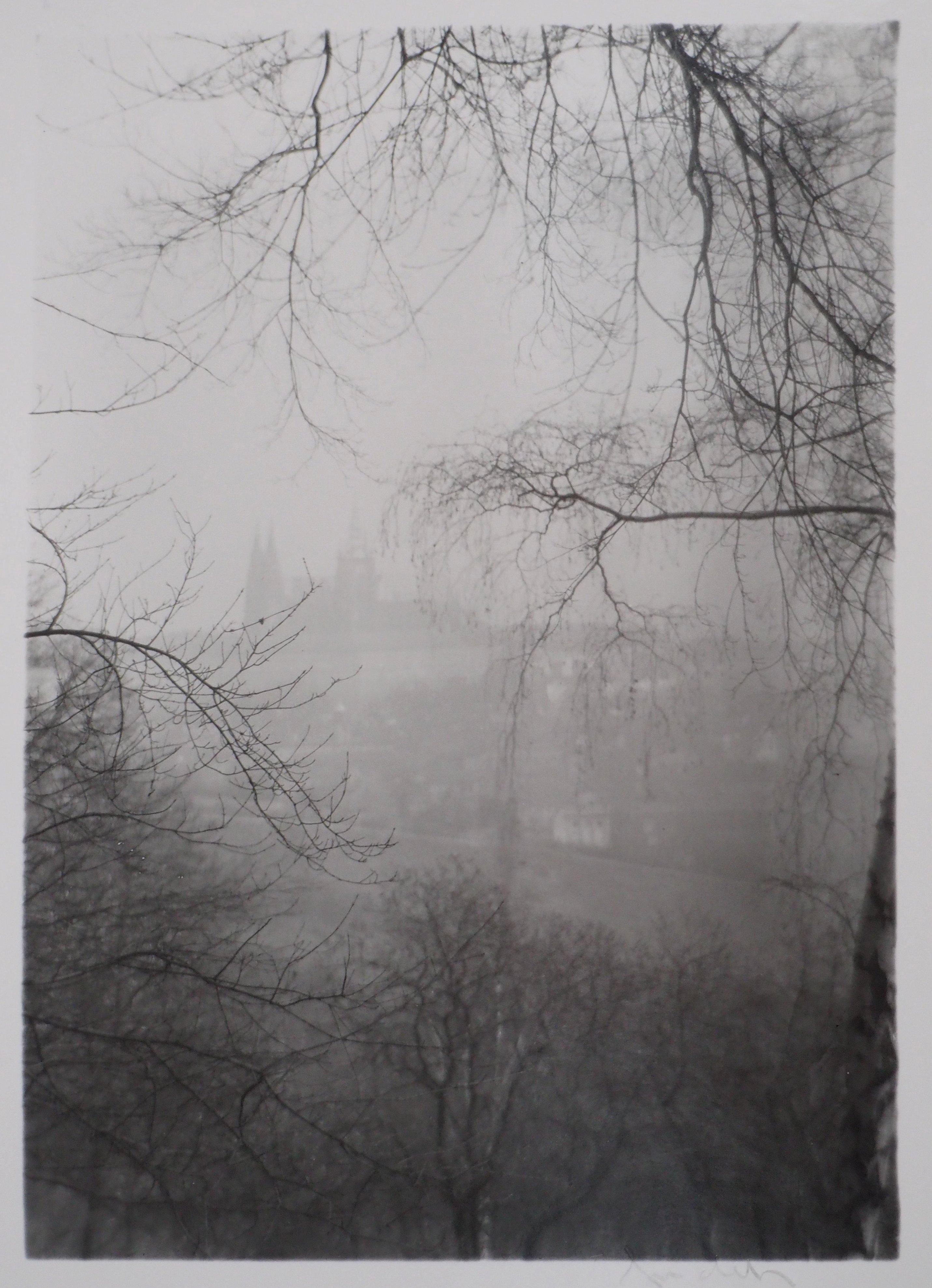 Josef Sudek - Onions at 1stDibs