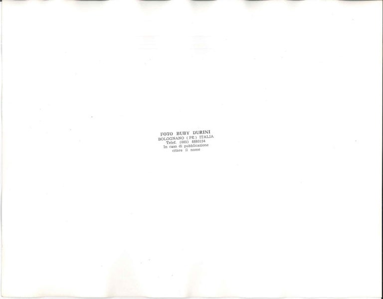 Joseph Beuys - 7000 Oak Trees - Original Vintage Photo by Buby Durini ...