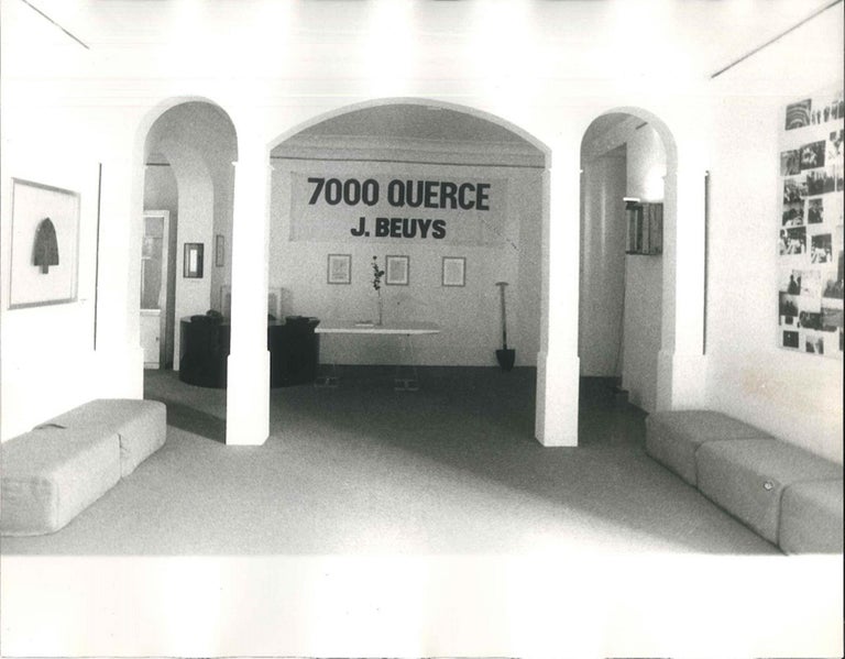 Joseph Beuys - 7000 Oak Trees - Original Vintage Photo by Buby Durini ...