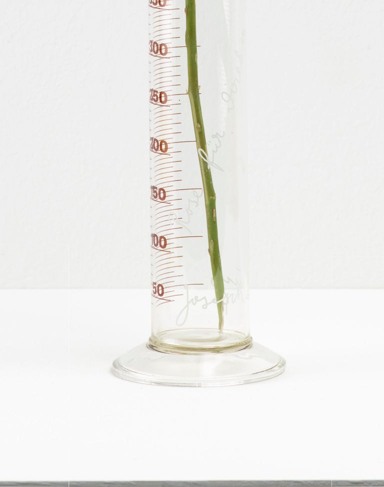 Joseph Beuys - « Rose for Direct Democracy », multiple d'origine avec ...