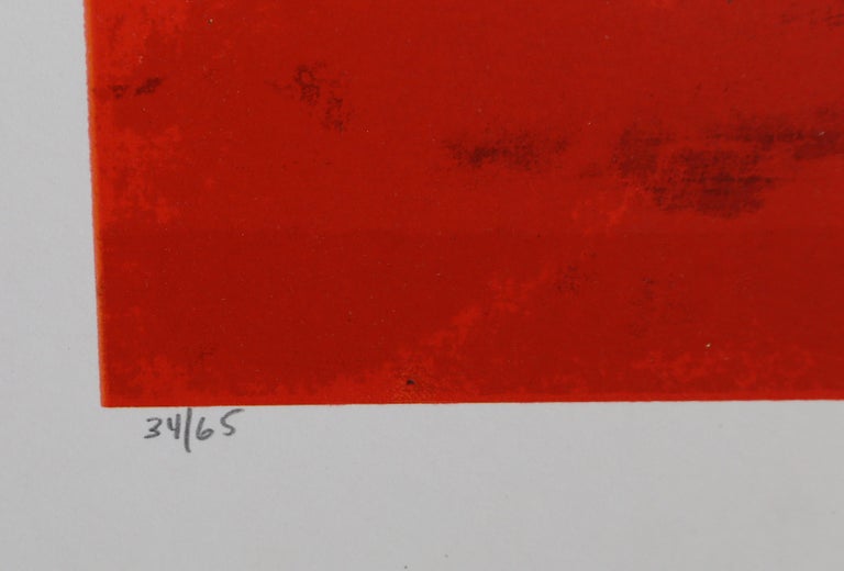 Joseph Grippi - Canyon Series II, Abstract Silkscreen For Sale at 1stDibs