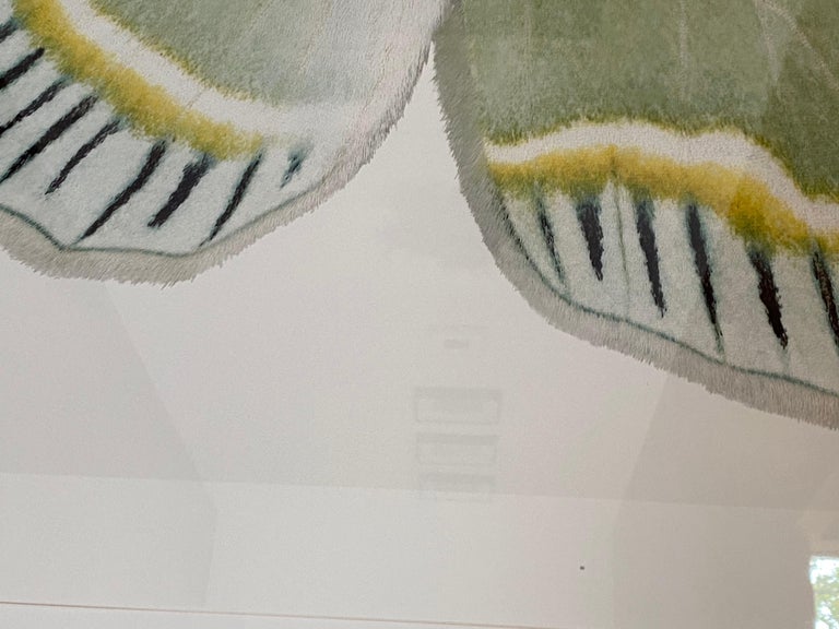 Joseph Scheer - Iotaphora Admirabilis, Nature Photograph, Light Green ...