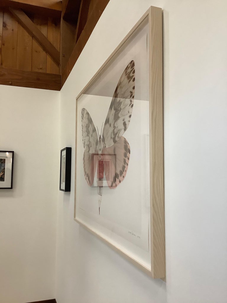 Joseph Scheer - Lymantria Mathura, Nature Photograph of Pink and Brown ...