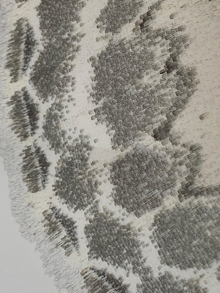 Joseph Scheer - Somatina Indicataria, Nature Photograph of White, Brown ...