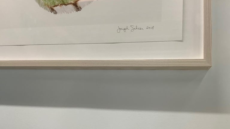 Joseph Scheer - Thetidia Albocostaria, Insect Nature Photograph, Bright ...