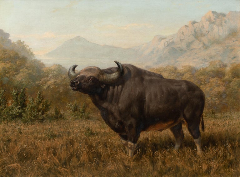 Joseph Wolf - A Study Of Bison, 19th century For Sale at 1stDibs