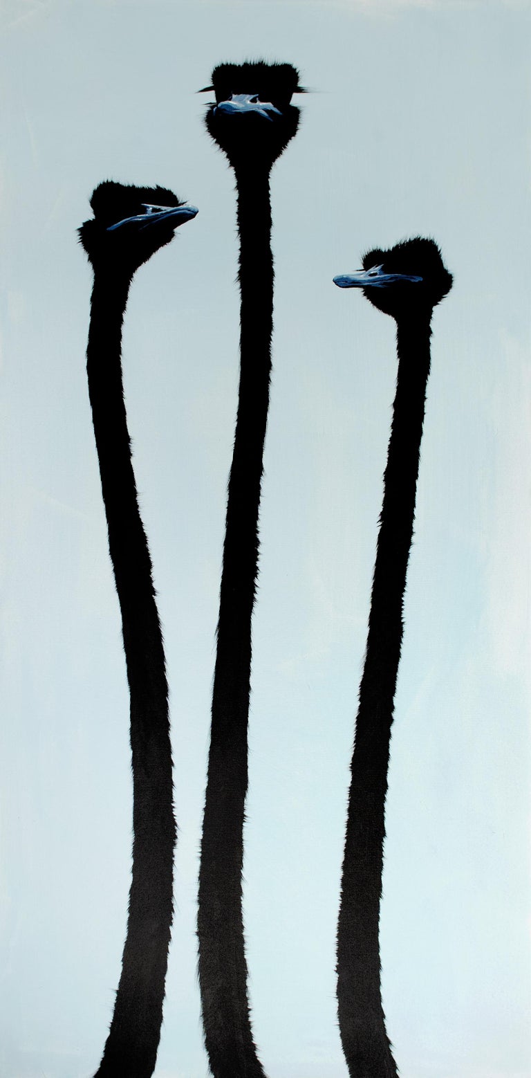 Josh Brown - Blue Ostrich on Teal at 1stDibs