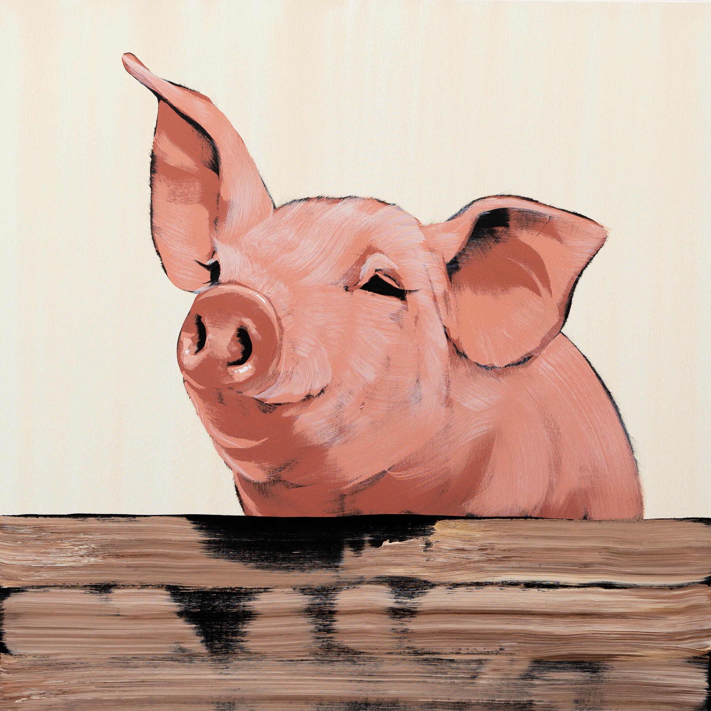 Josh Brown - Happy Pig on Fence with Tan For Sale at 1stDibs