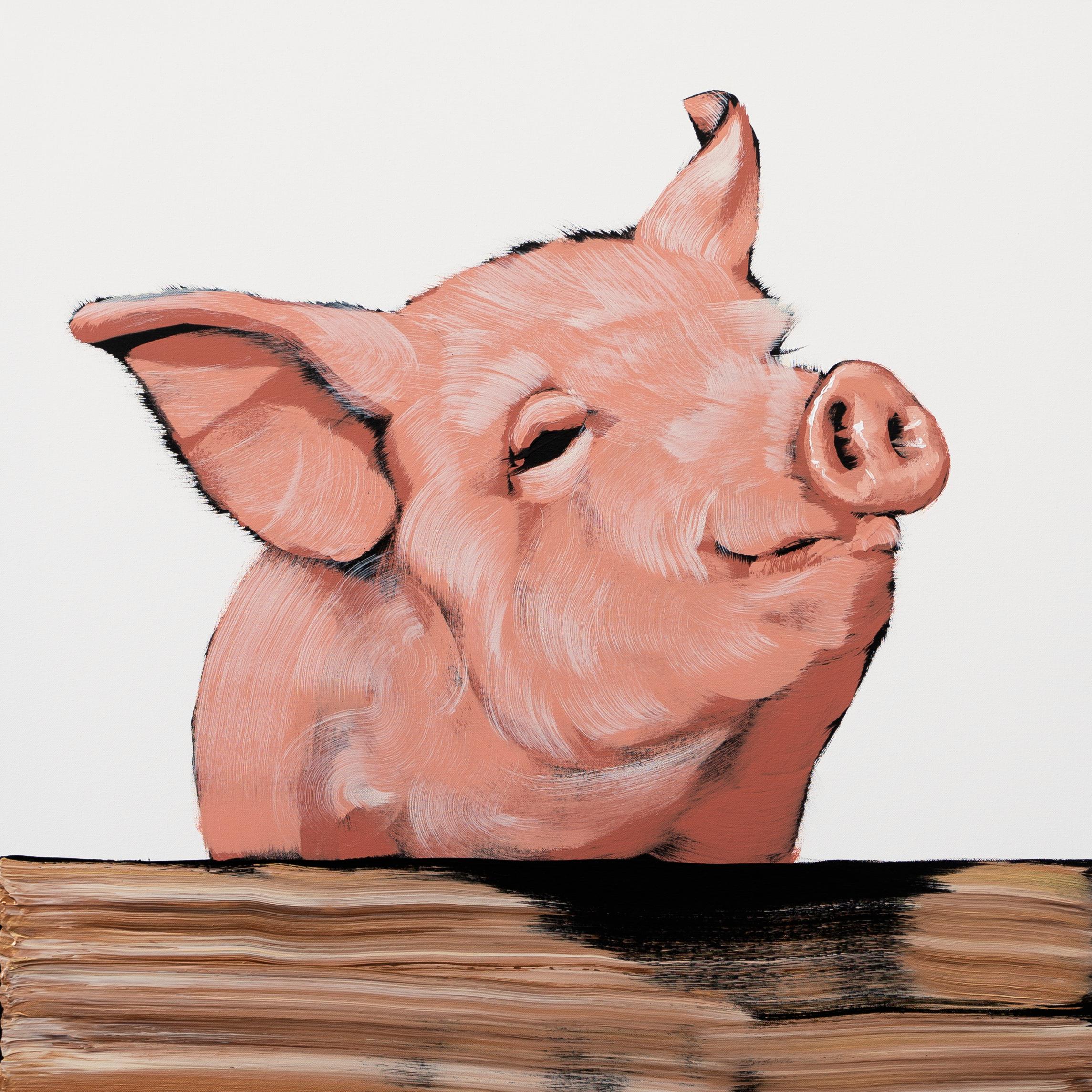 Josh Brown - Happy Pig on Fence with White II For Sale at 1stDibs