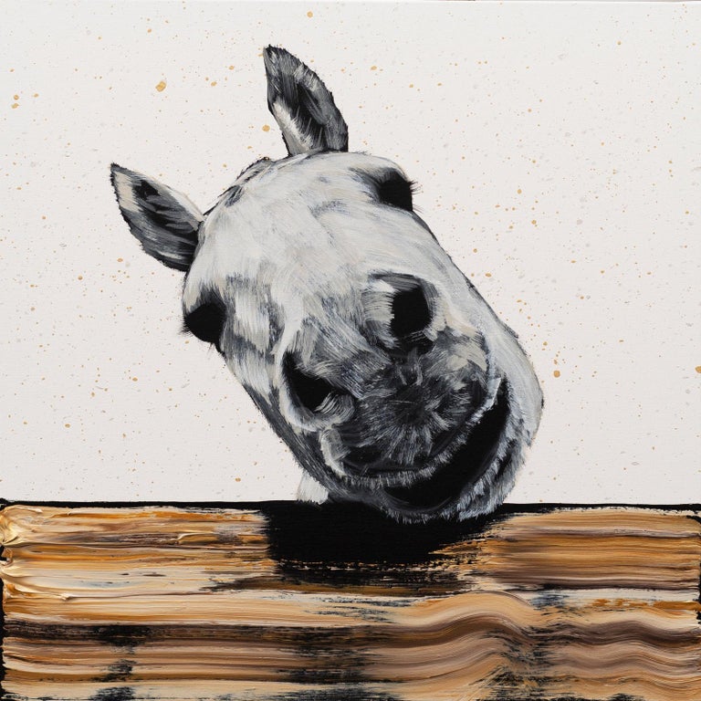 Josh Brown - Horse For Sale at 1stDibs