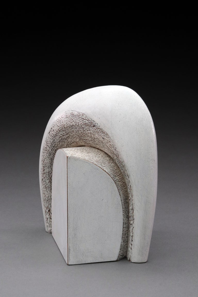 Joshua Enck - Cloak For Sale at 1stDibs