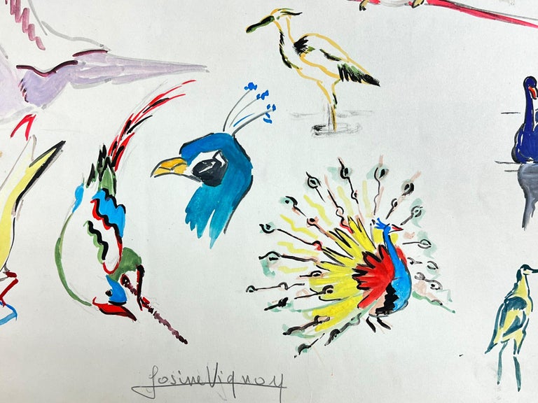 Josine Vignon - Mid Century French Illustration Sketches Of Different Colorful Birds For Sale at ...