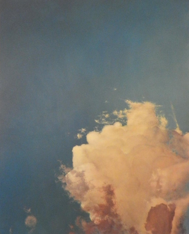 J.T. Grant - evaporative collapse For Sale at 1stDibs