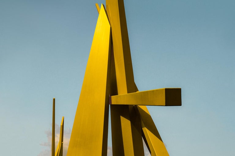 Juan Pablo Castro - Golden Flame. Chromogenic print on ultra premium ...