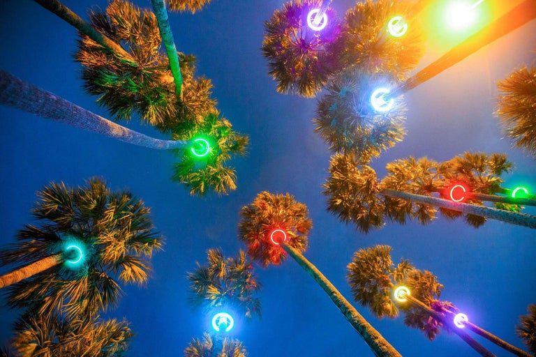 Juan Pablo Castro - Welcome To Miami Beach. Landscape color limited ...