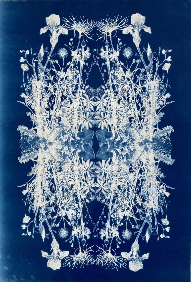 Judith Allen-Efstathiou - 'Botanical Rhapsody' Realistic/Abstract ...