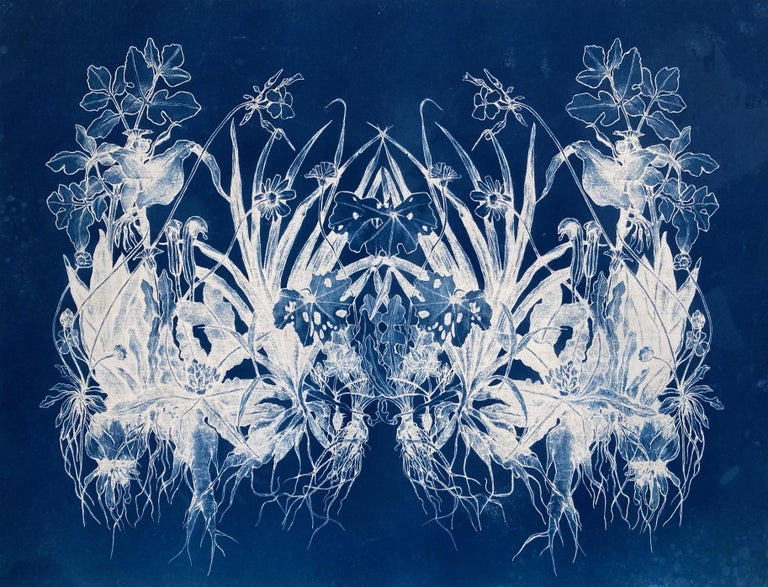 Judith Allen-Efstathiou - 'December Roots' Realistic/Abstract Floral ...