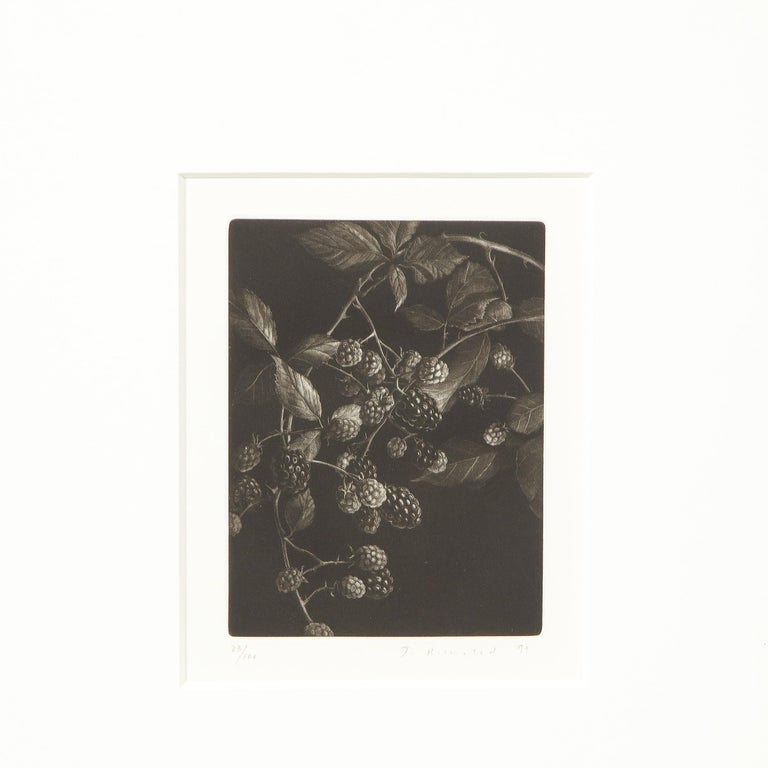 Judith Rothchild - Black Berries by Judith Rothchild For Sale at 1stDibs