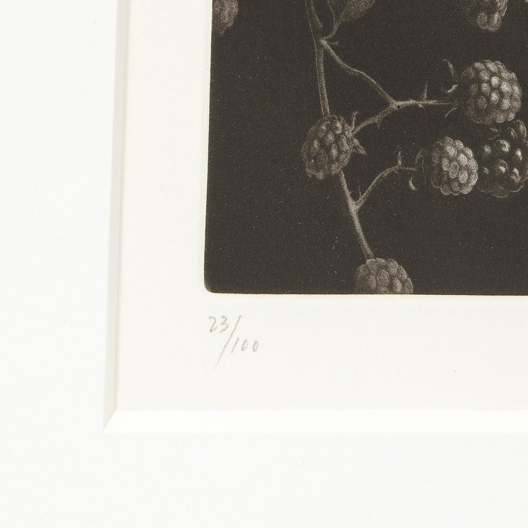 Judith Rothchild - Black Berries by Judith Rothchild For Sale at 1stDibs