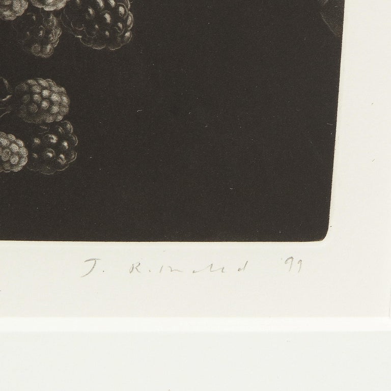 Judith Rothchild - Black Berries by Judith Rothchild For Sale at 1stDibs