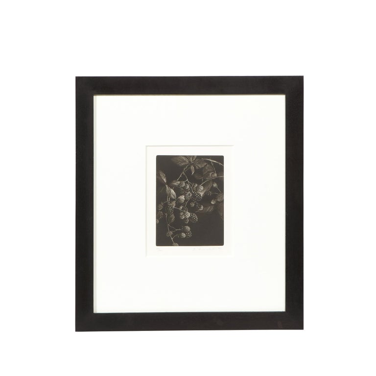 Judith Rothchild - Black Berries by Judith Rothchild For Sale at 1stDibs
