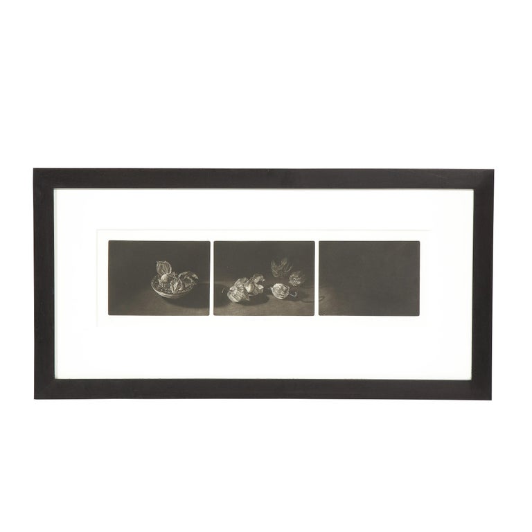 Judith Rothchild - Chinese Lanterns by Judith Rothchild For Sale at 1stDibs