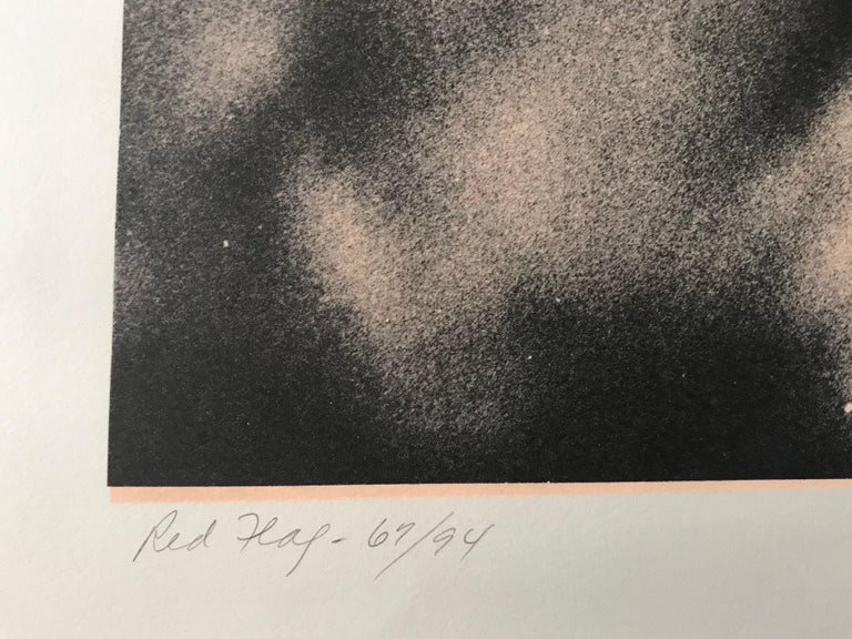 Judy Chicago 'Red Flag' Photo Lithograph, 1971 at 1stDibs
