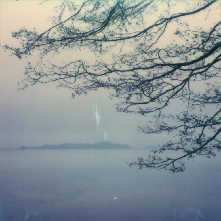 Julia Beyer - Moody Musings For Sale at 1stDibs