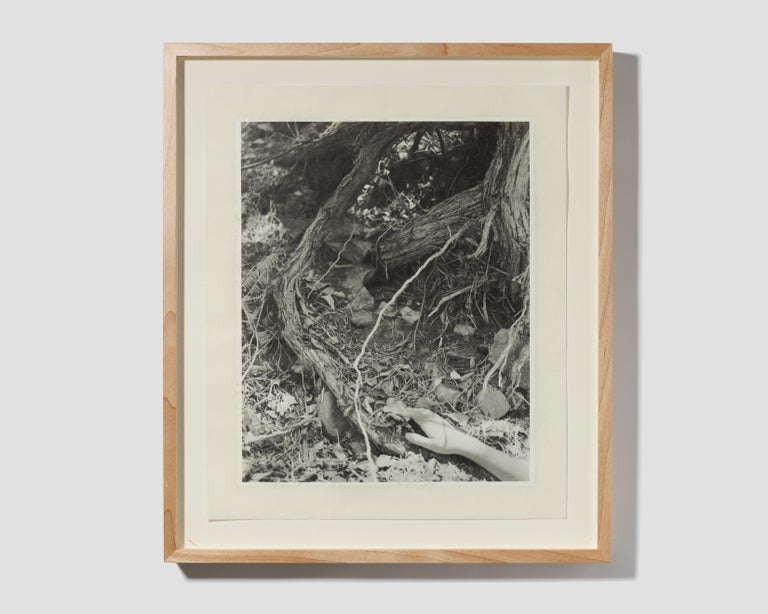 Julia C. Martin - Longing For Sale at 1stDibs