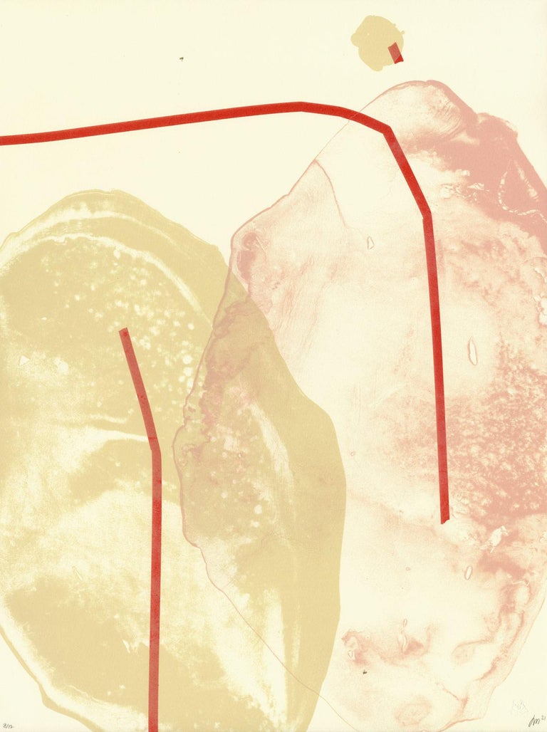 Julia Marco Campany - Untitled (2 bold red lines cut across colour ...