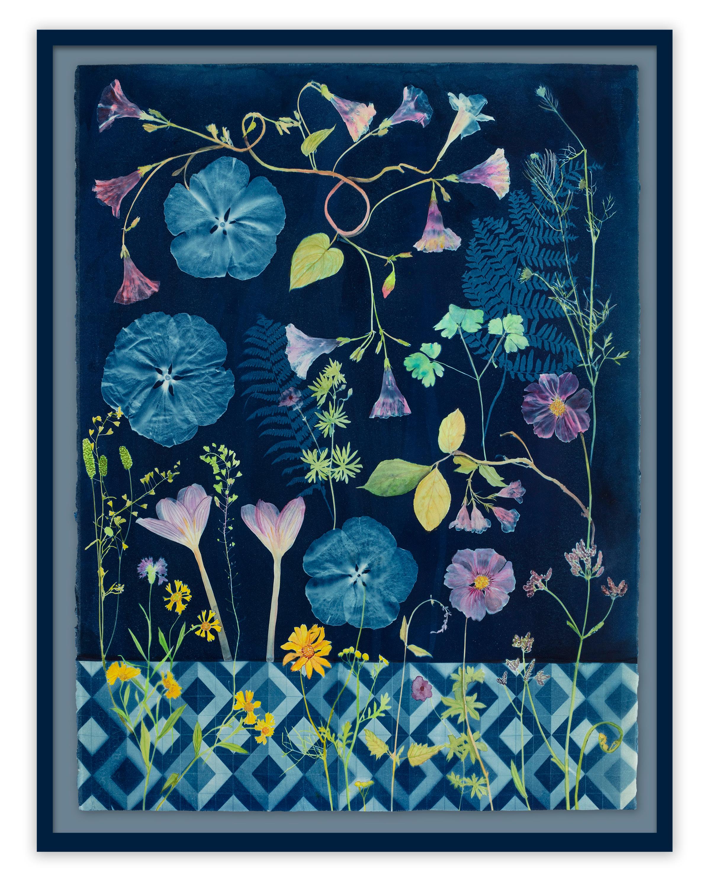 Julia Whitney Barnes - Cyanotype Painting (Morning Glory, Crocus, Floor ...